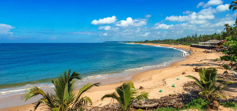 4 Star Hotels in Candolim, Goa | Godwin Hotels, Goa | Book Hotel in ...